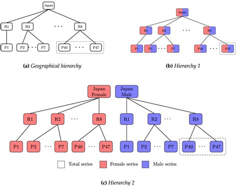 Hierarchy Tree Diagrams For The Japanese Mortality Rates Dashed Boxes Download Scientific