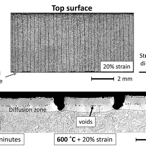 A Top And B Cross Section Optical Inspections Of The Alsi Coating Download Scientific