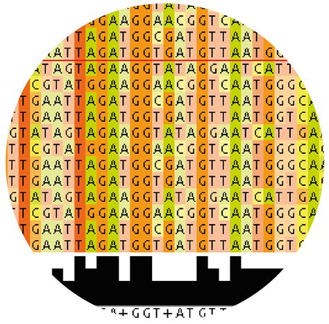 Step 2 Comparison Of Nucleotide Sequences EMBL ELLS