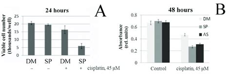Jnk Inhibitors Enhance Death Of Adc Exposed To Cisplatin A Jnk Download Scientific Diagram
