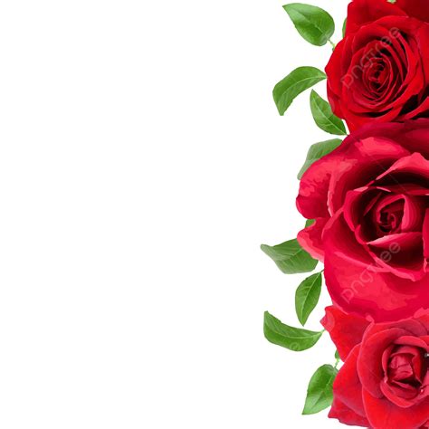 Red Flower Frame Vector Art Png Frame Set Of Flowers In Red Birthday