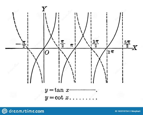 Tangent Curve Vintage Illustration CartoonDealer Com 163345934