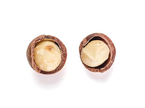 Premium Photo Two Macadamia Nuts With Open Shells Isolated