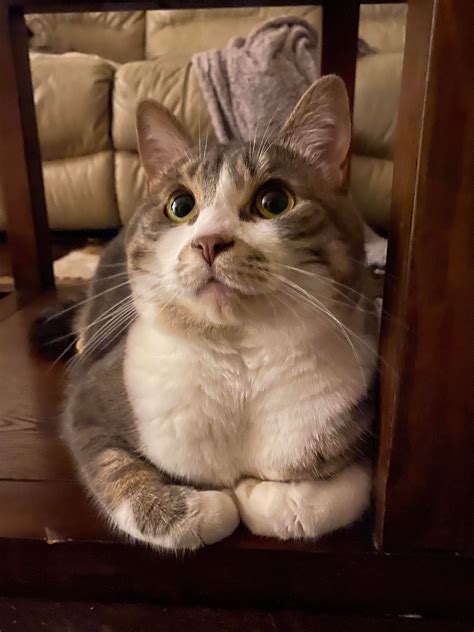 My Politest Girl Curledfeetsies