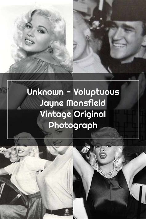 Jayne Mansfield Unknown Voluptuous Jayne Mansfield Vintage Original