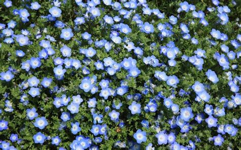 DAO Integration Test With TestContainers Spring Boot Liquibase And PostgresSQL