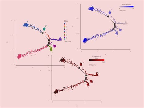 Single Cell Multiomics Analysis Strategies For Integration Partek Inc