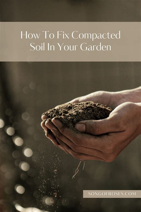Compacted Soil Causes And Solutions Artofit