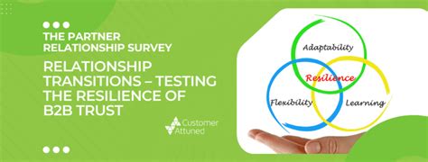 Relationship Transitions Testing The Resilience Of B2b Trust