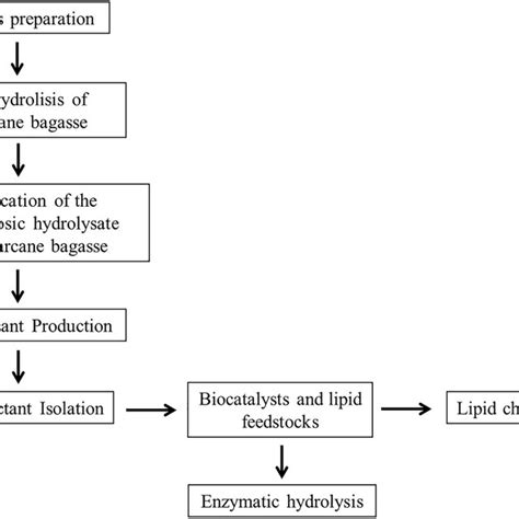 flow chart of the process used to describe the steps involved in this