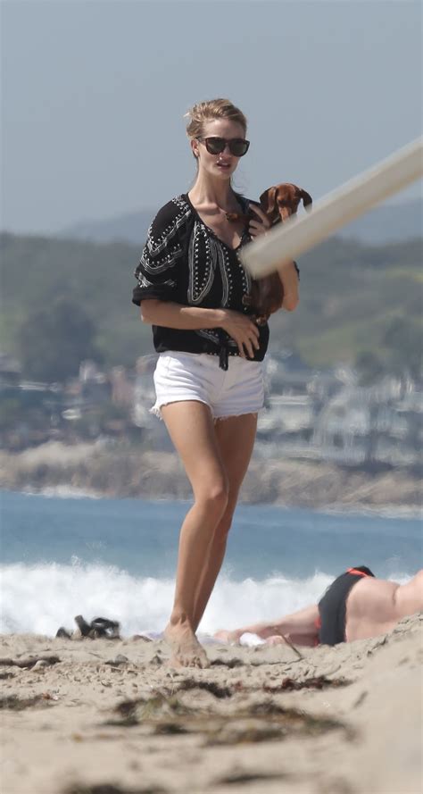 Rosie Huntington Whiteley On The Beach In Malibu Hawtcelebs