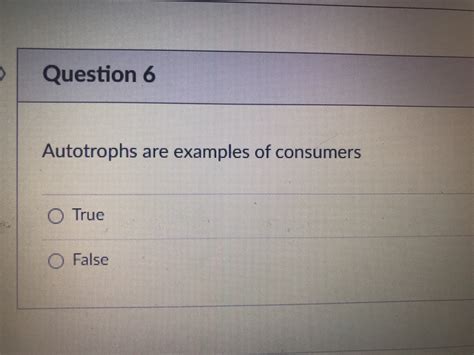 Examples Of Autotrophs