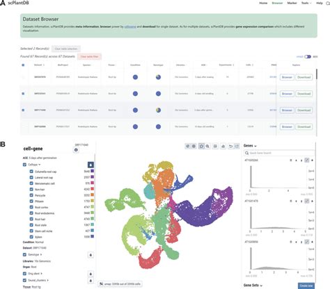 the browser module for single cell dataset selection and visualization