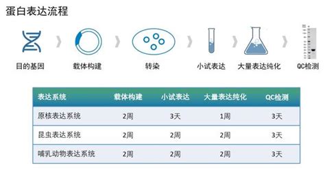 青云瑞晶 重组蛋白产品 知乎