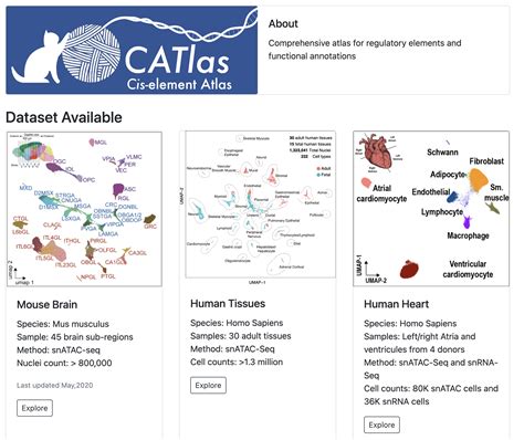 这种级别的单细胞数据公开了也很难有人使用 生信菜鸟团