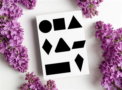 Basic Shape Svg Bundle Basic Shape Png Bundle Basic Shape Clipart Basic