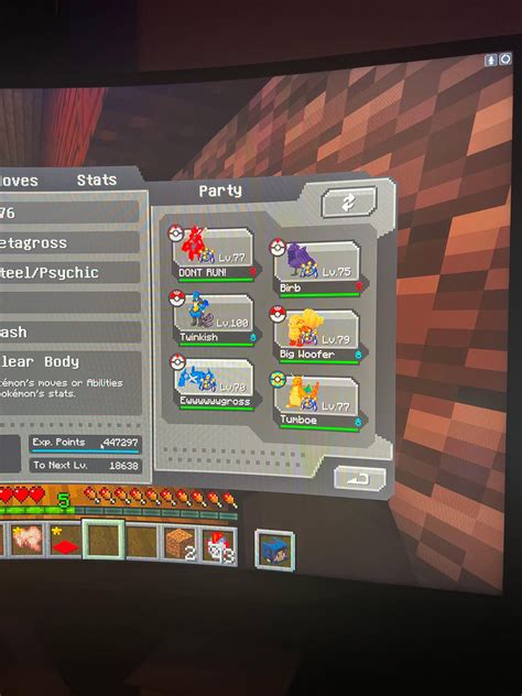 I Have Too Many Steel Types In My Party Rcobblemon