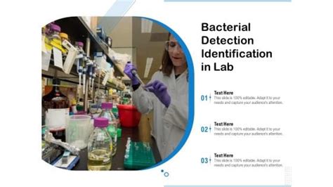 Bacterial Detection Identification In Lab Powerpoint Templates Slides