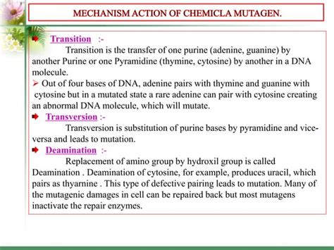 Application Of Mutation Breeding In Field Crops Ppt