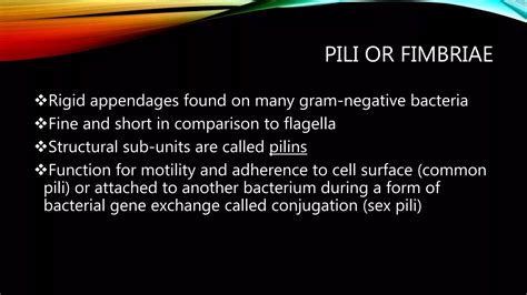 Chapter 3 Bacterial Morphology Pptx