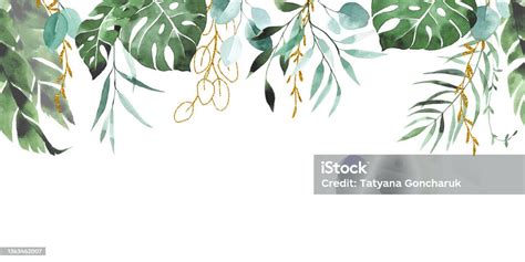 수채화 도면 원활한 테두리 황금 빛나는 요소와 열대 잎 배너 손바닥 몬스터 바나나의 녹색과 금 잎 패턴 프레임 수채화에 대한 스톡 벡터 아트 및 기타 이미지 Istock