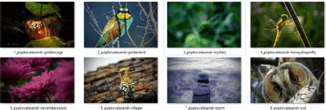 Colors Of Nature Theme For Windows And