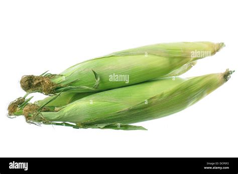 Ear Of Corn Ears Cut Out Stock Images And Pictures Alamy