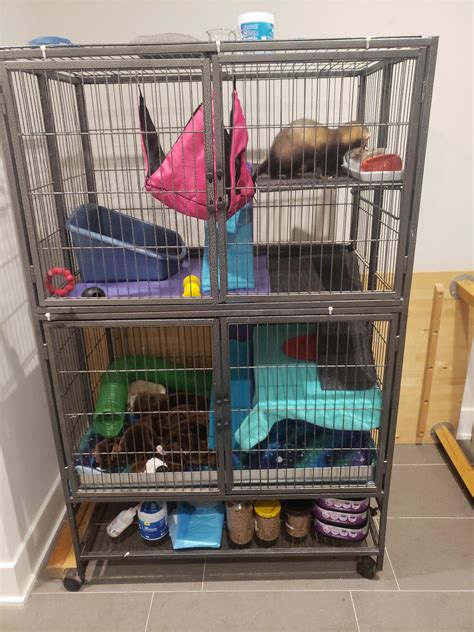 Ideal Ferret Cage Setup Critter Nation® Small Animal Habitat