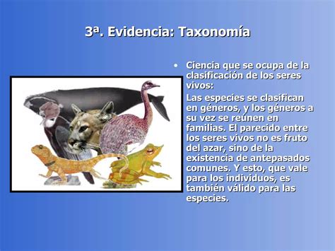 Las Cinco Evidencias De La Evolución Según Darwin Ppt