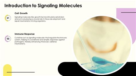 Top 10 Planning And Design Of Cellular Communication System Powerpoint Presentation Templates In
