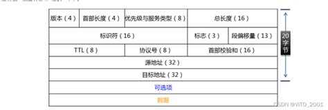 计网基础五 网络层 ip数据报df位在哪 csdn博客