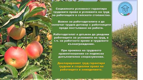 Министерство Министерство на труда и социалната политика