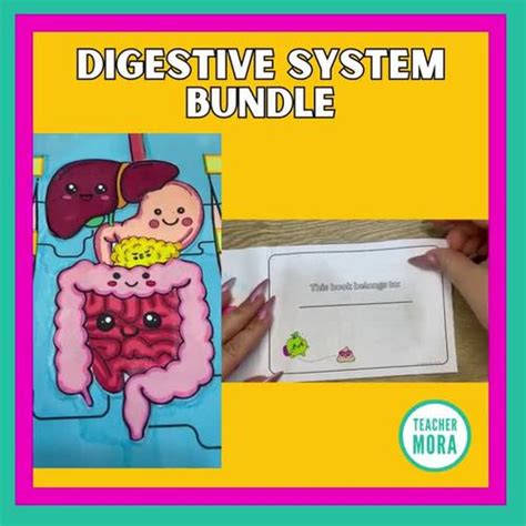 Kawaii Digestive System Cut And Paste Craft Flipbook Digestion Activity