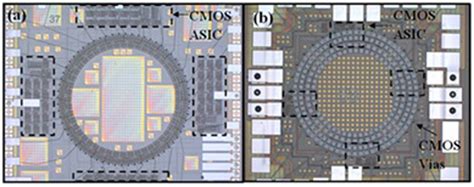 A A Fully Fabricated Cmut On Cmos Dual Ring Array With A 1 6 Mm