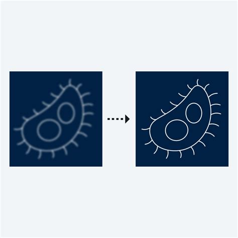 Deconvolution Toolkit Zeiss