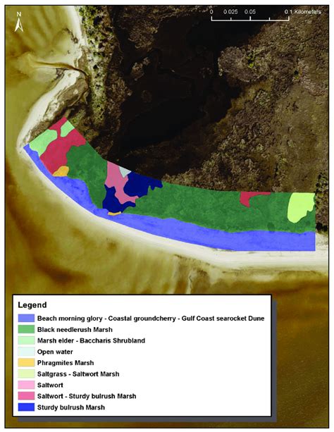 Plant Community Classification Of Cat Point Reference Site