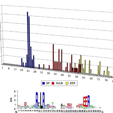 Rxlr Effector Gene Clusters Download Scientific Diagram