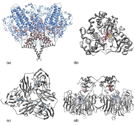 Three Dimensional Structures Of Nitrite Reductases A Desulfovibrio