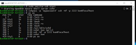 Ssh Connection With Sshpass In Background · Issue 3648 · Microsoftwsl · Github