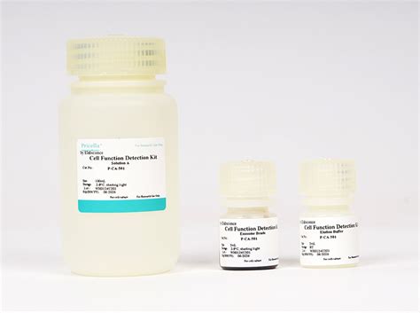 6 Search Results For Exosome Isolation Kit Page Elabscience®