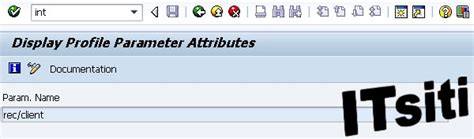 Edit Display Only RZ11 Maintain Profile Parameter