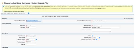 Realtime Calculation Is Not Working · Issue 695 · Sfdo Communitydeclarative Lookup Rollup