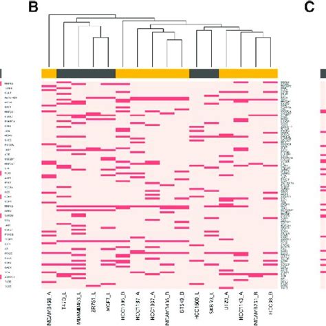 Hierarchical Clustering Of The 16 Breast Cancer Cell Lines Hierarchical