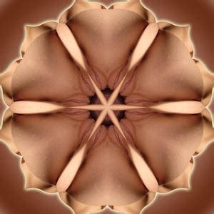 Abstract Art Geometric Female Form Photograph By Chris Maher Fine Art America