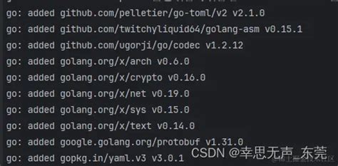 Goland搭建gin框架以及基础框架快速搭建使用goland搭建gin框架 使用swageer 使用gorm连接mys 掘金
