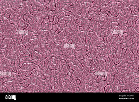 Design Pink Biological Random Noise Digital Graphic Texture Design Pink Biological Random Noise Digital Graphic Texture