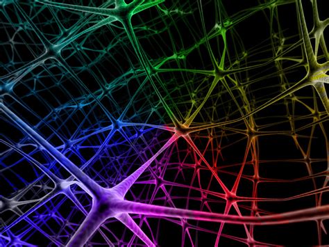 The Neural Network By Rajasegar On DeviantArt