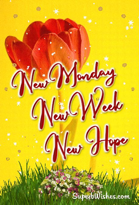 Happy Monday 2024 S New Week And New Hope Beautiful Monday S