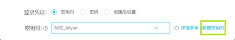 Using Ngc With Alibaba Cloud Setup Guide Nvidia Gpu Cloud Documentation