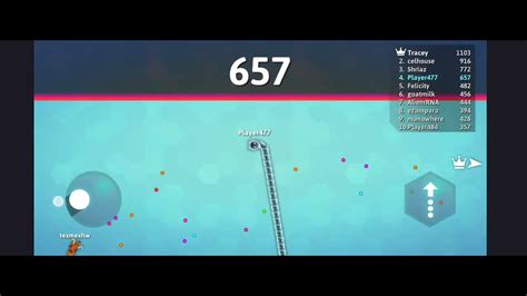 1000점 넘기 지렁이게임 Youtube